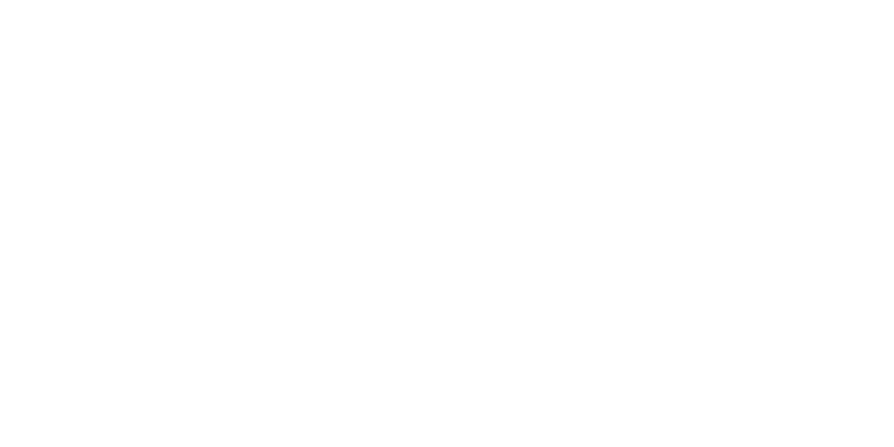 ConnX AI | Consolidate | Normalize | Xperience